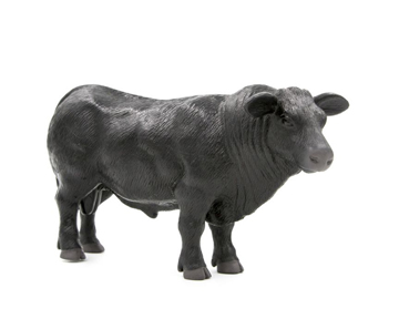 Black Bull [LBT500250] : Highland Livestock Supply, Ltd, Products for ...
