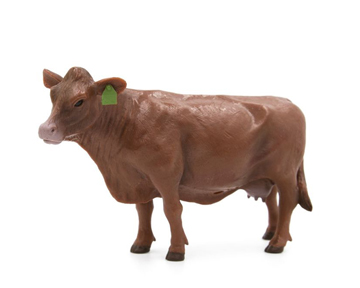 Red Cow [LBT500260] : Highland Livestock Supply, Ltd, Products for all ...